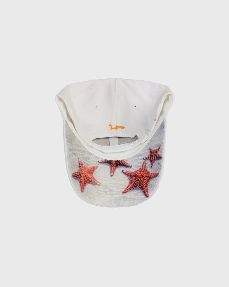 Starfish Hat